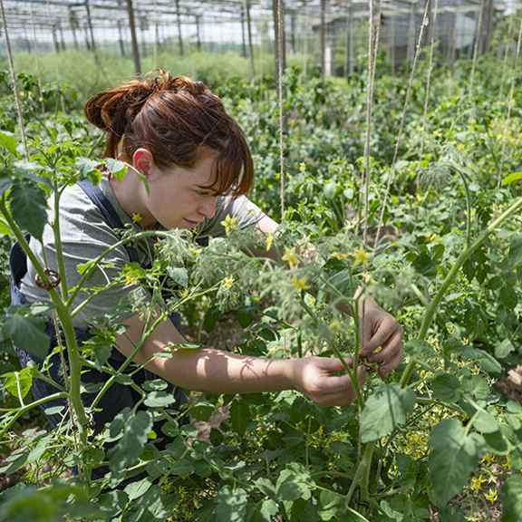 Triodos Foundation | Warmonderhof
