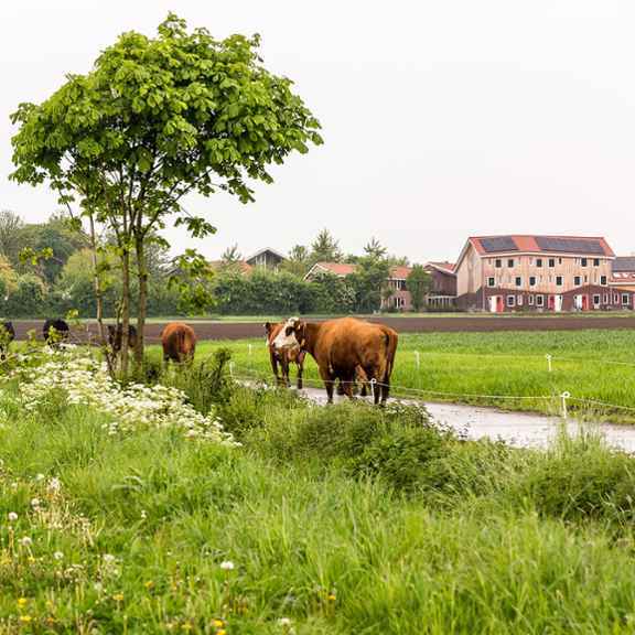 Triodos Foundation | Warmonderhof