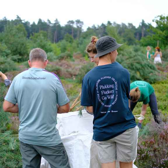Triodos Foundation | Trouw Duurzame 100