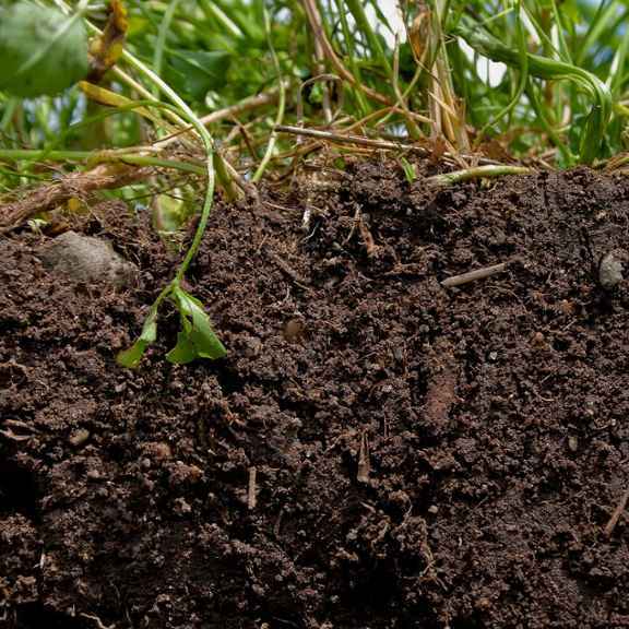 Onder het Maaiveld in première | Triodos Foundation