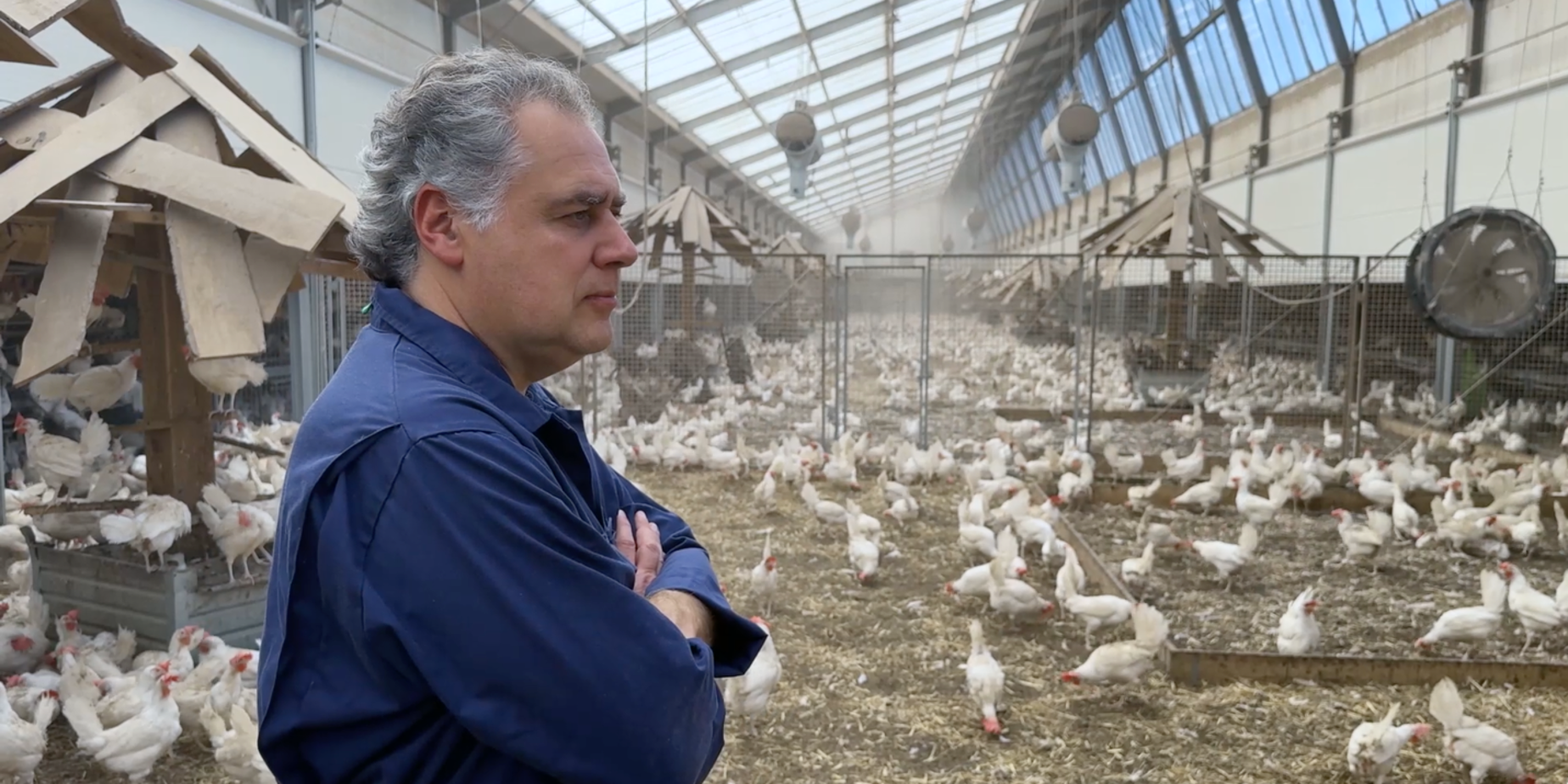Triodos Foundation | De Vegan Veehouder