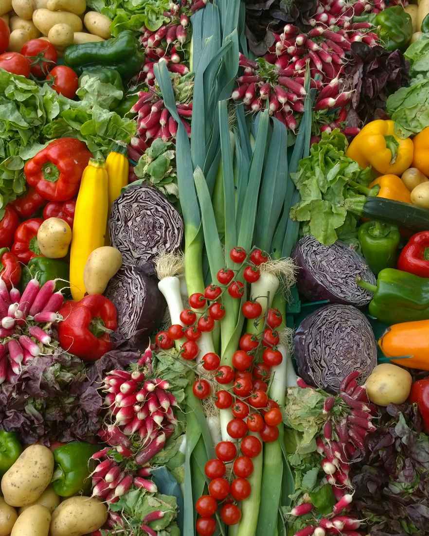 Triodos Foundation | Over Triodos Foundation