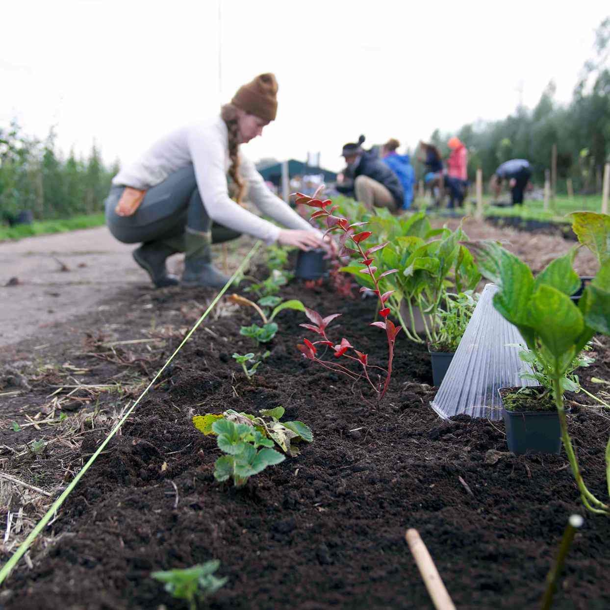 Triodos Foundation | Projecten