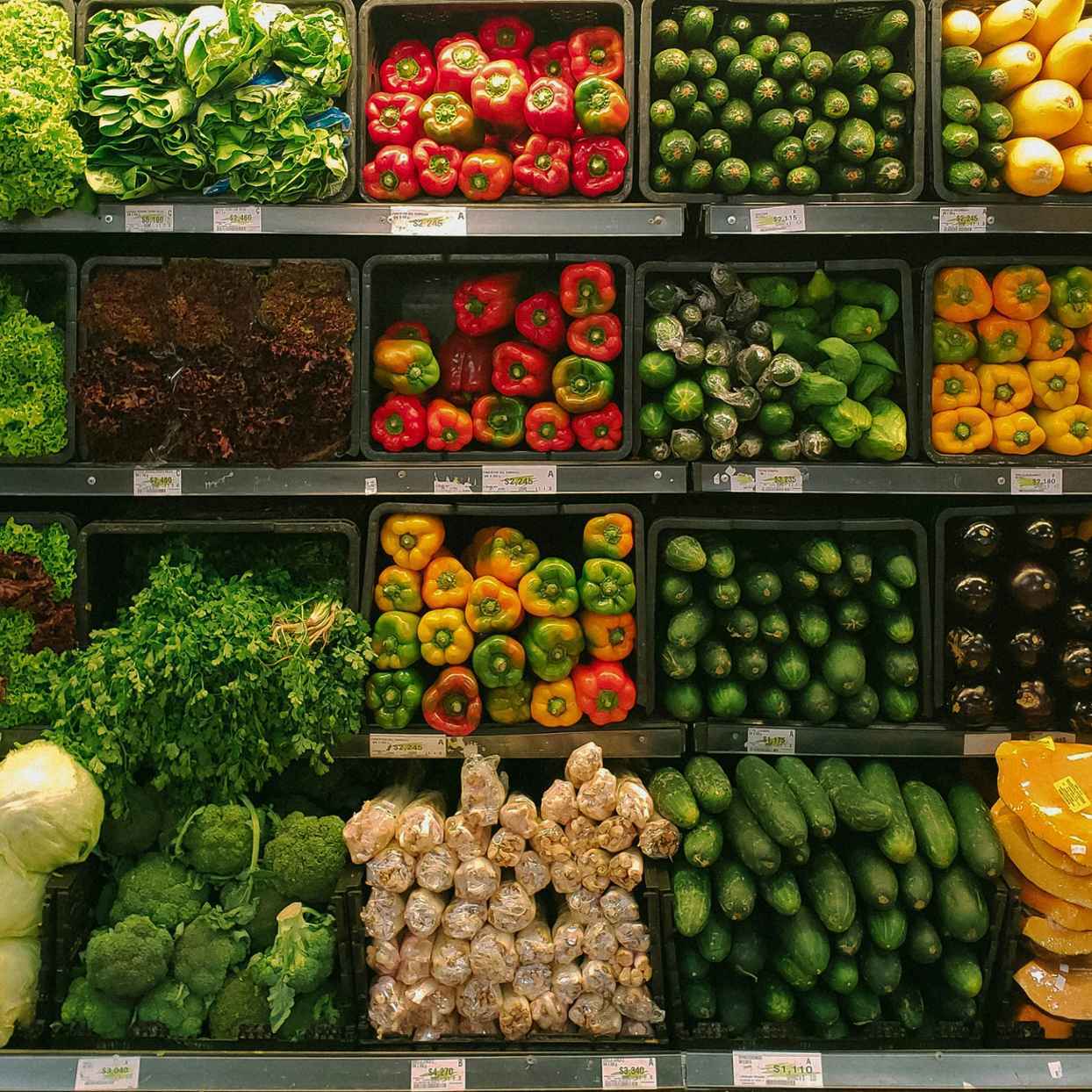 Triodos Foundation | Projecten