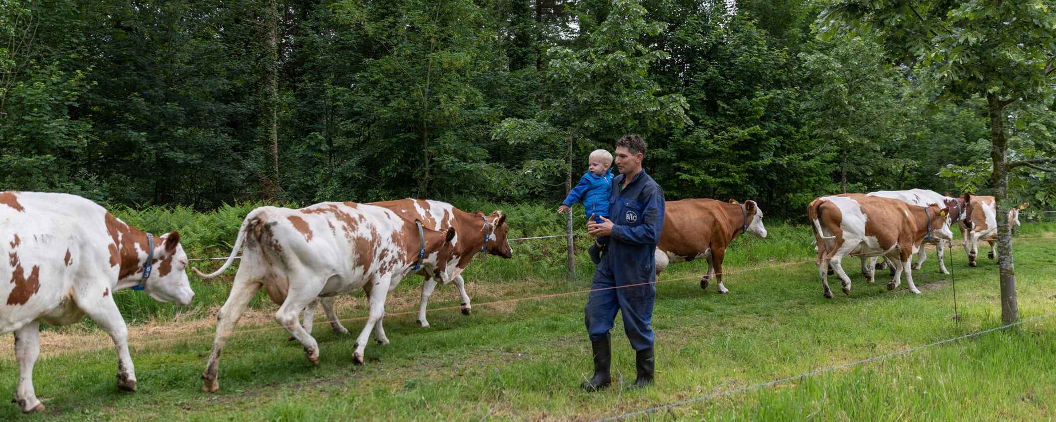 Open brief aan de boeren van Nederland | Triodos Foundation