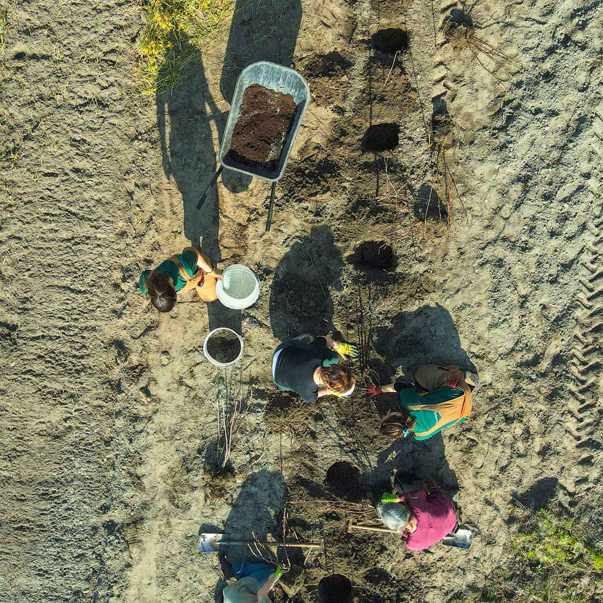 Triodos Foundation | Vraag een donatie