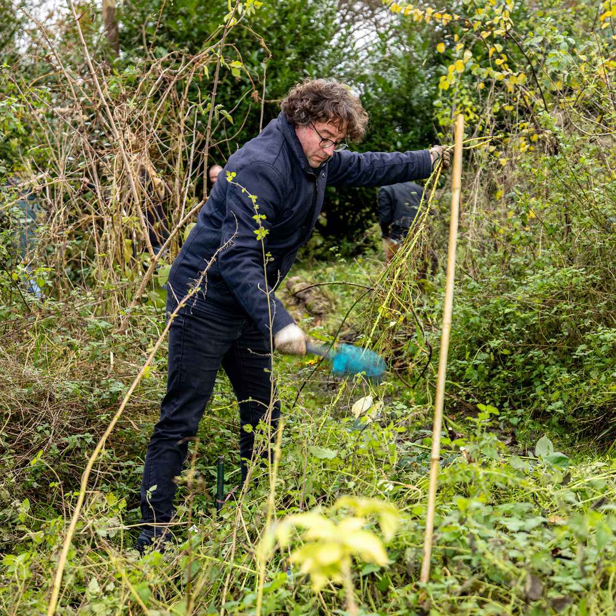 Triodos Foundation | Contact