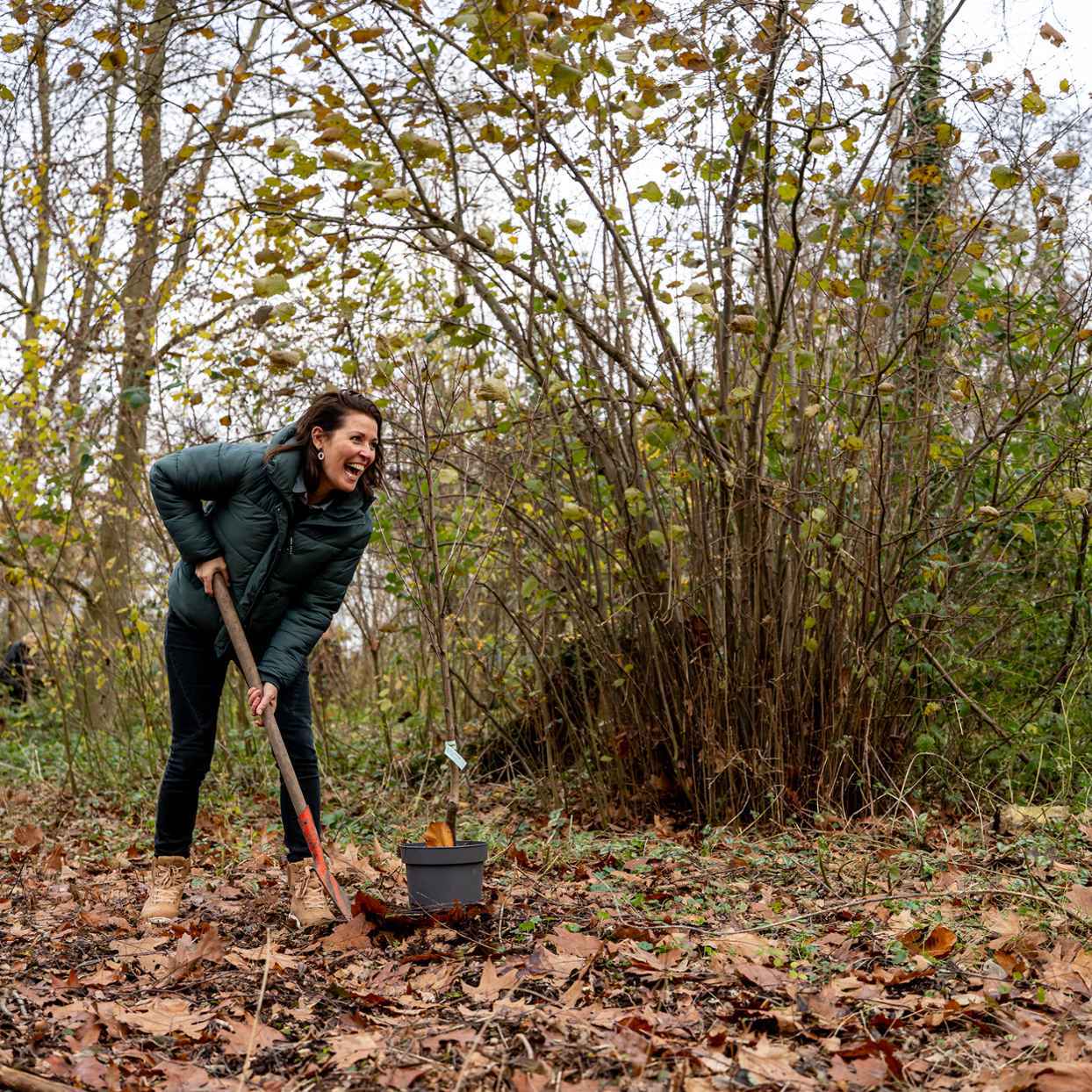 Triodos Foundation | Doneer