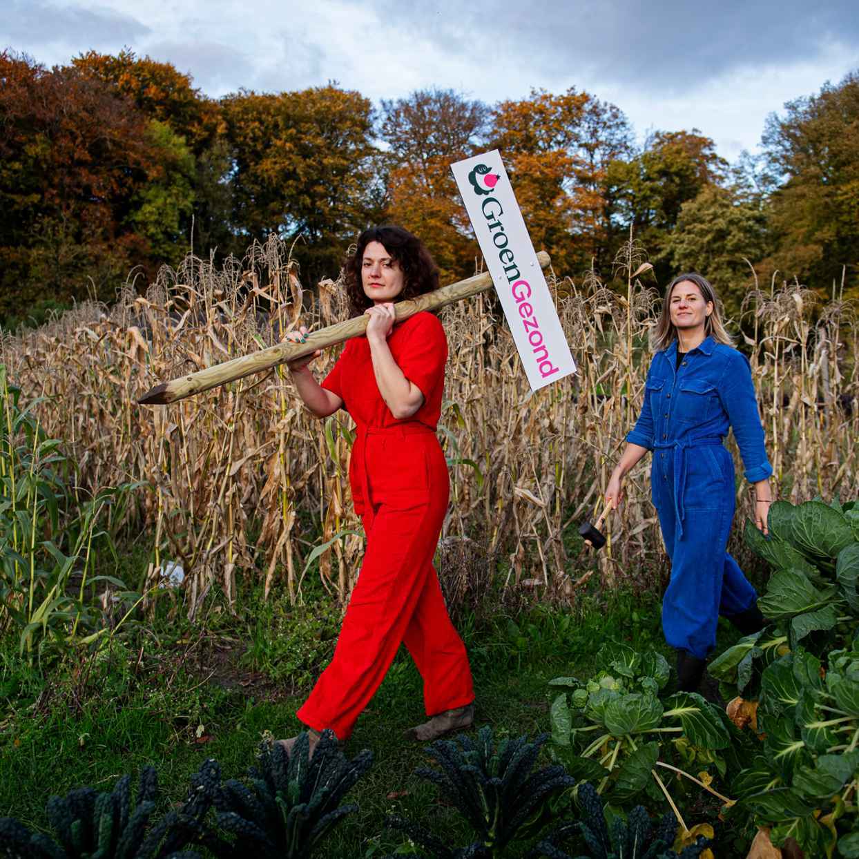 Triodos Foundation | GroenGezond