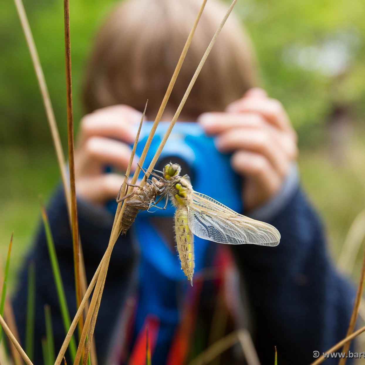 Triodos Foundation | KidzKlix
