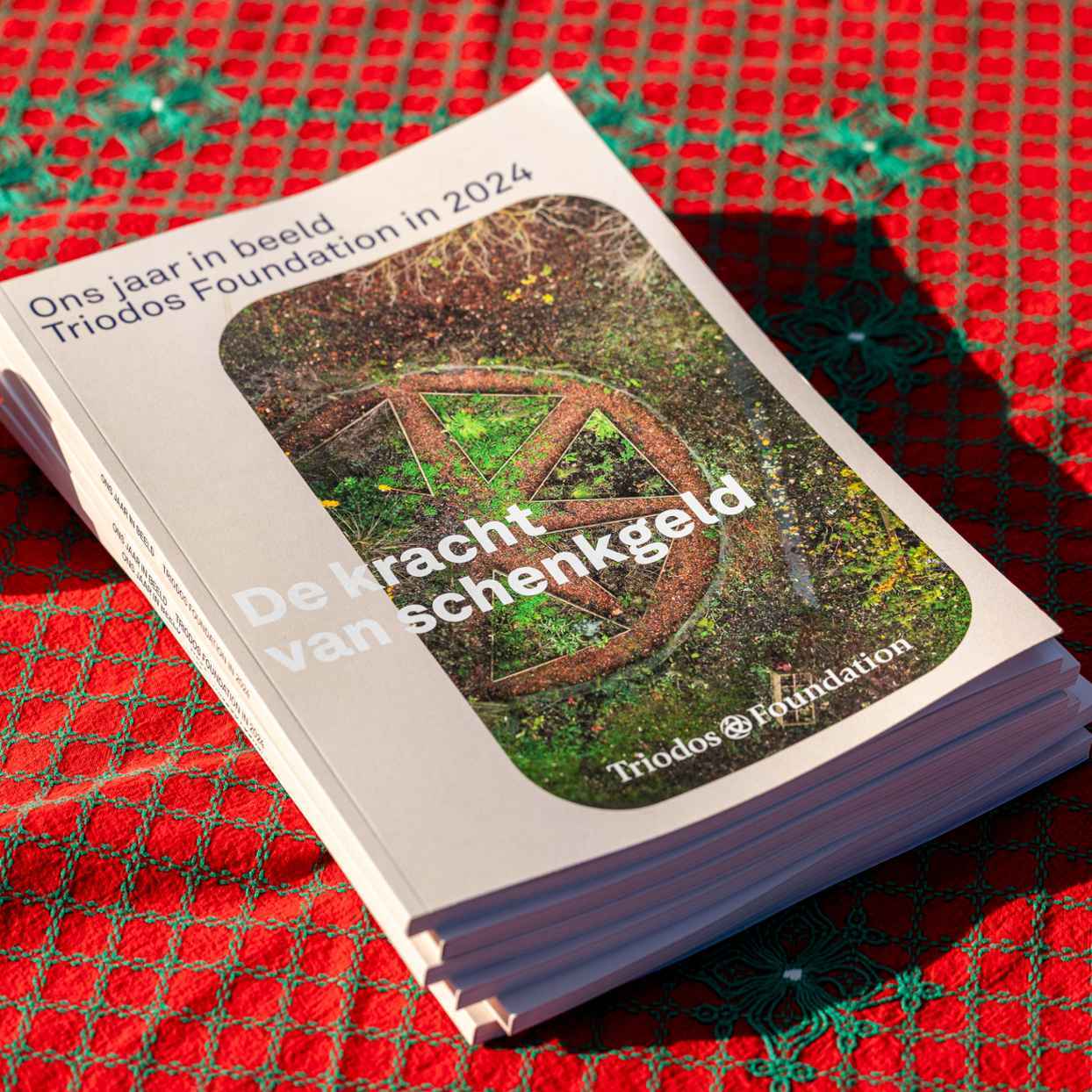 Triodos Foundation | Downloads