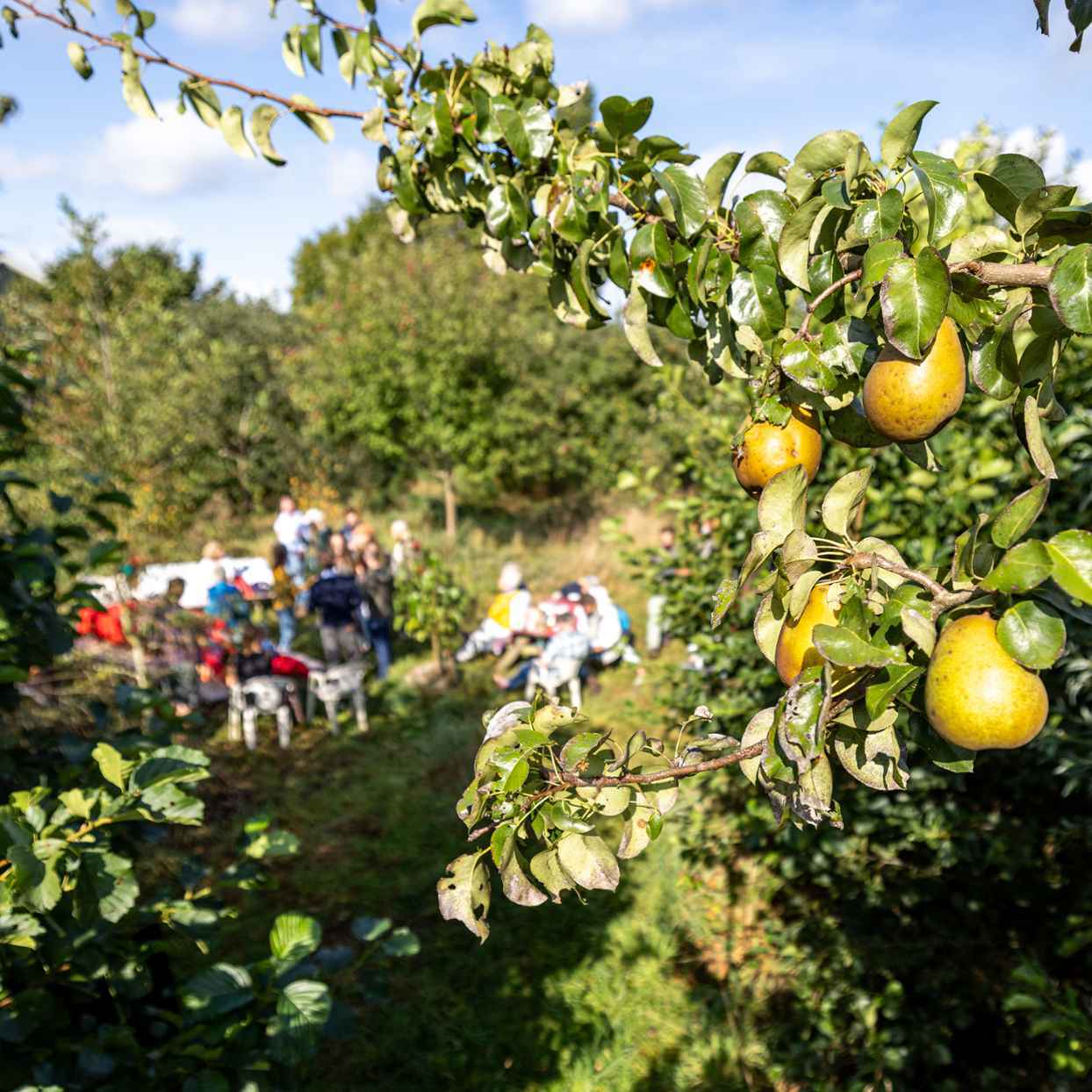 Triodos Foundation | Focusgebieden