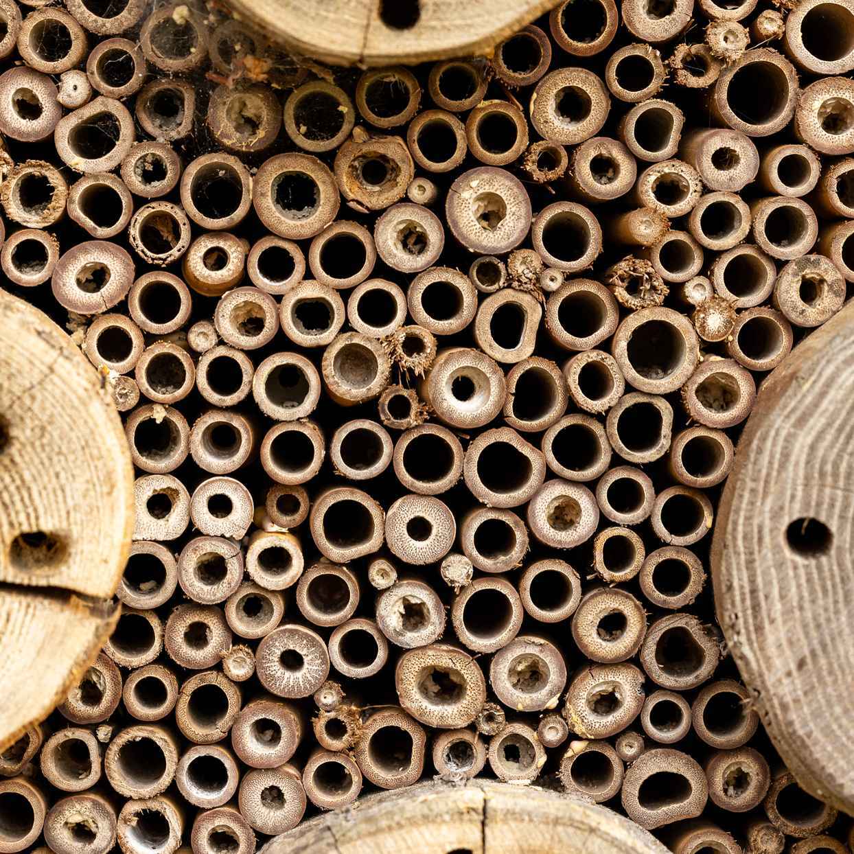 Triodos Foundation | Vragen en antwoorden