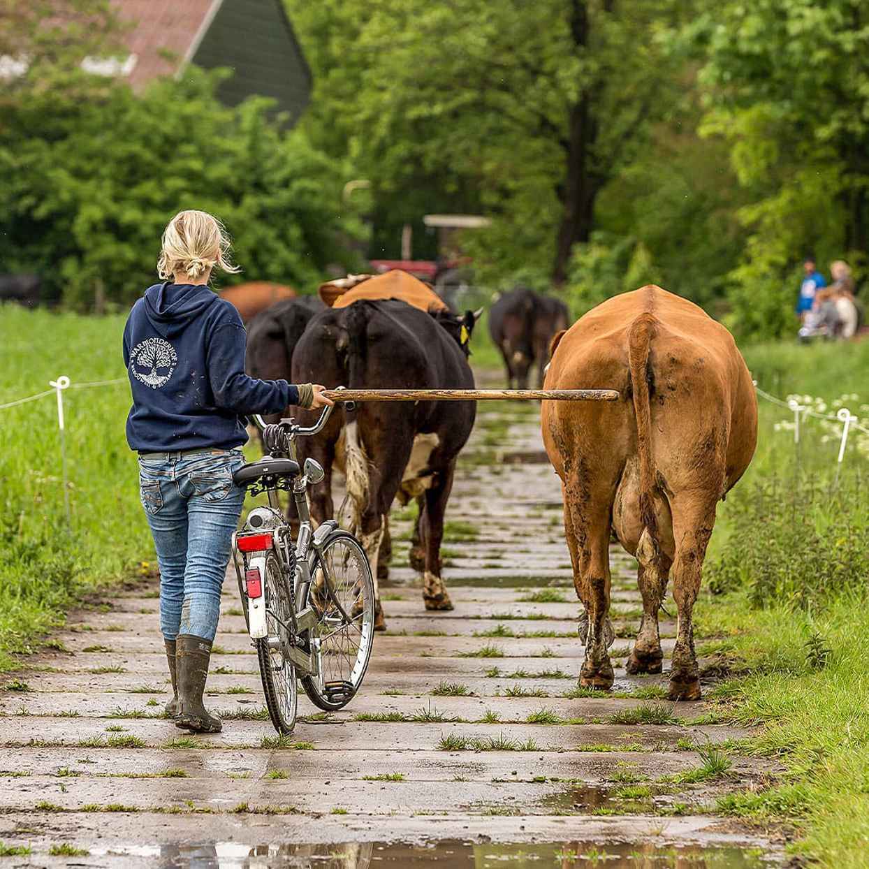 Triodos Foundation | Warmonderhof