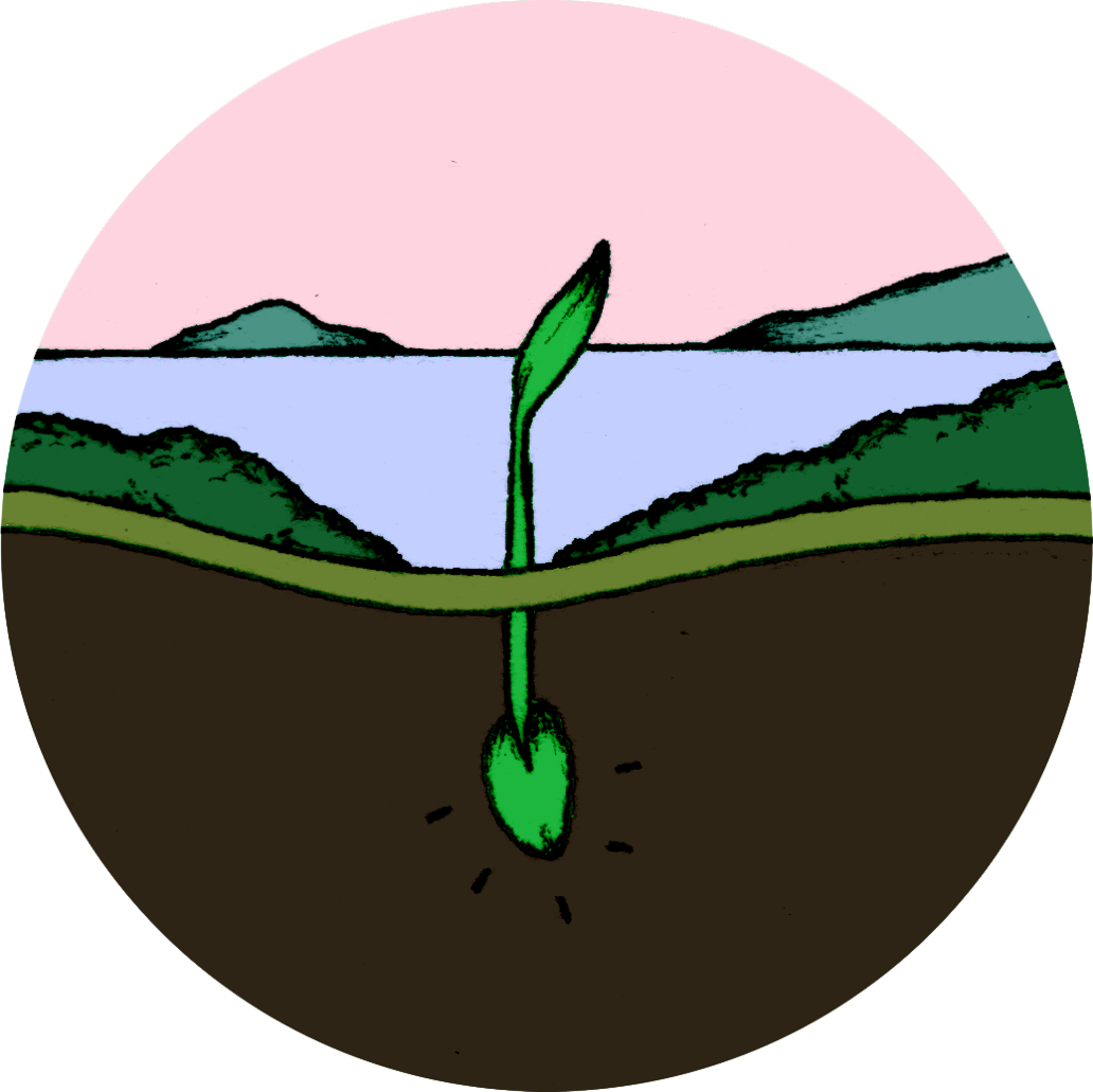 Triodos Foundation Tijdlijn: dit is onze geschiedenis | Triodos Foundation